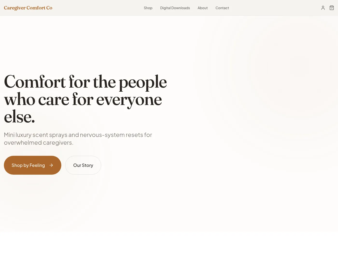 Caregiver Comfort Co