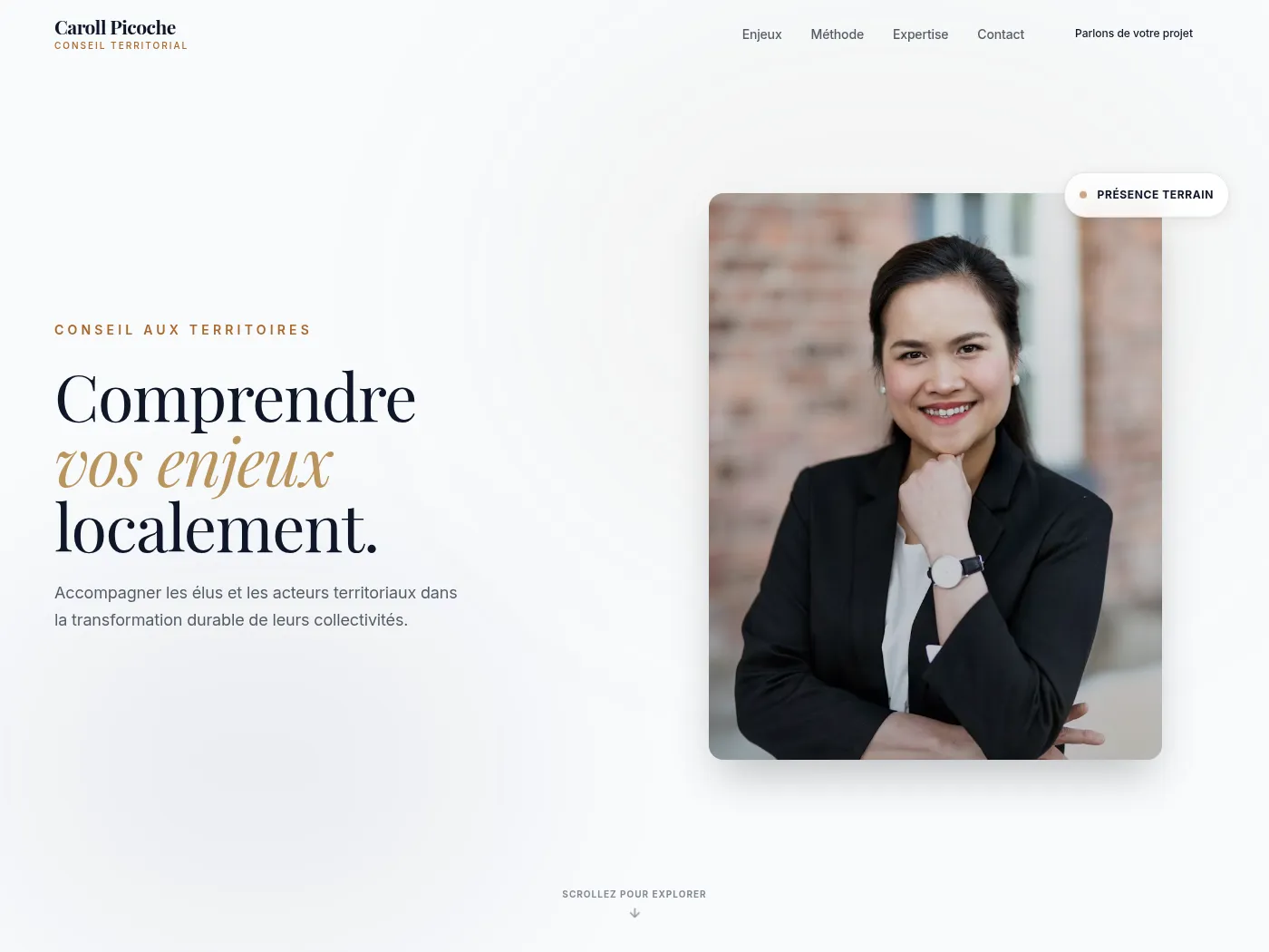 Caroll Picoche Conseil Site