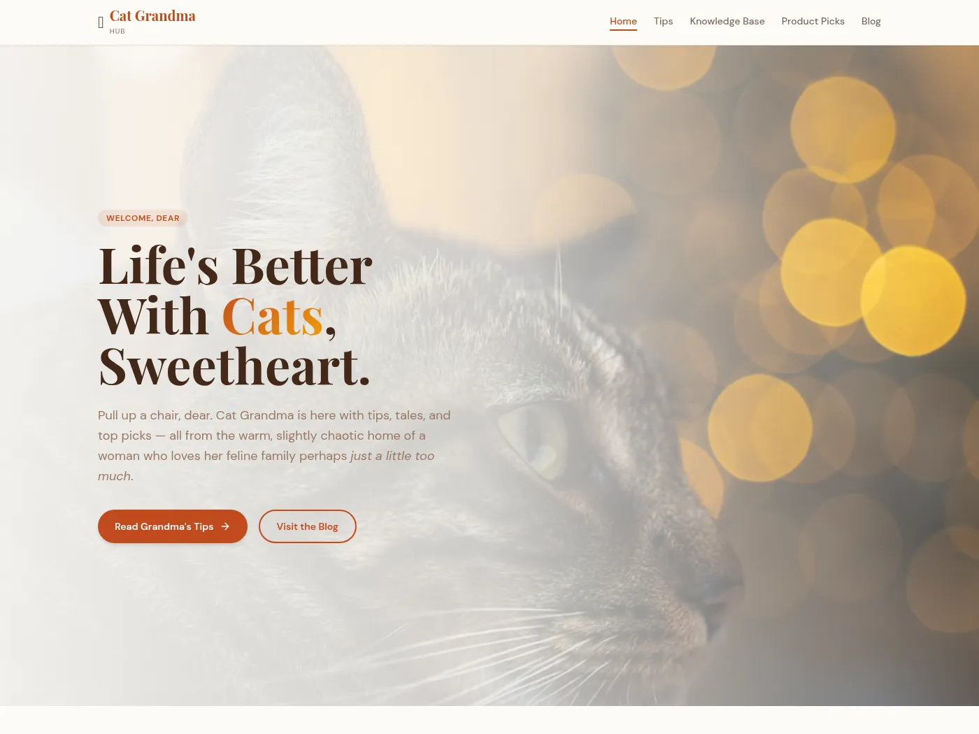 Cat Grandma Hub