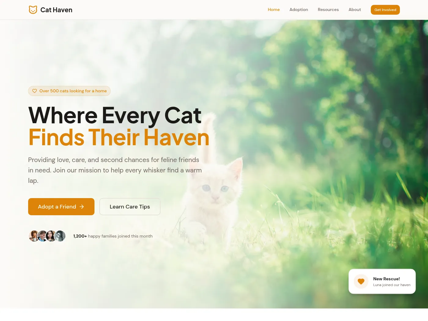 Cat Haven Website