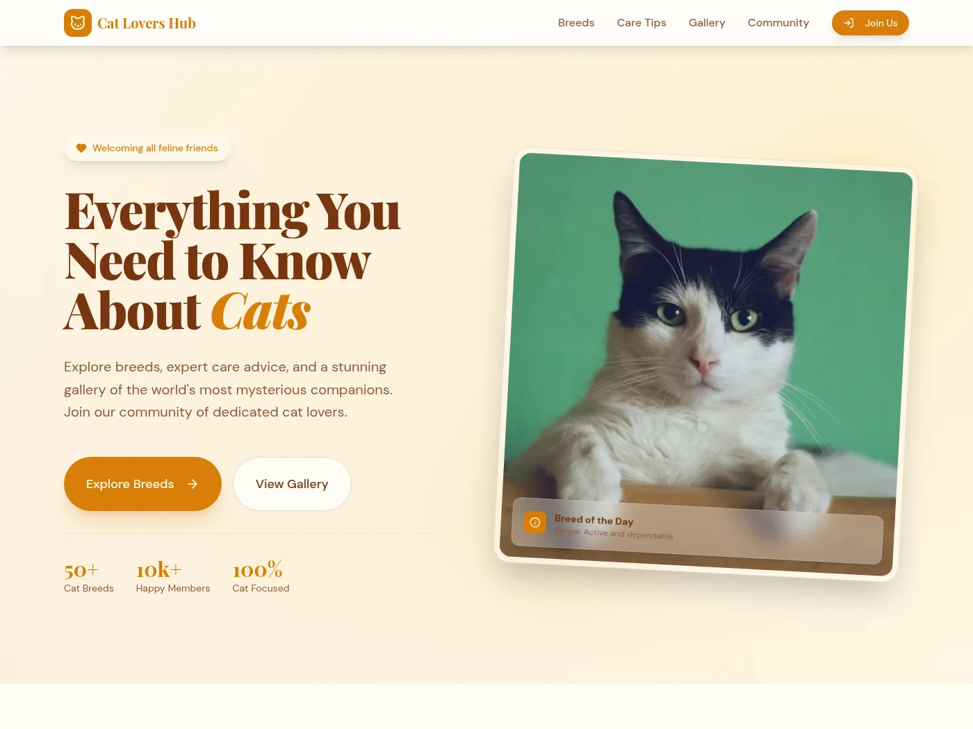 Cat Lovers Hub