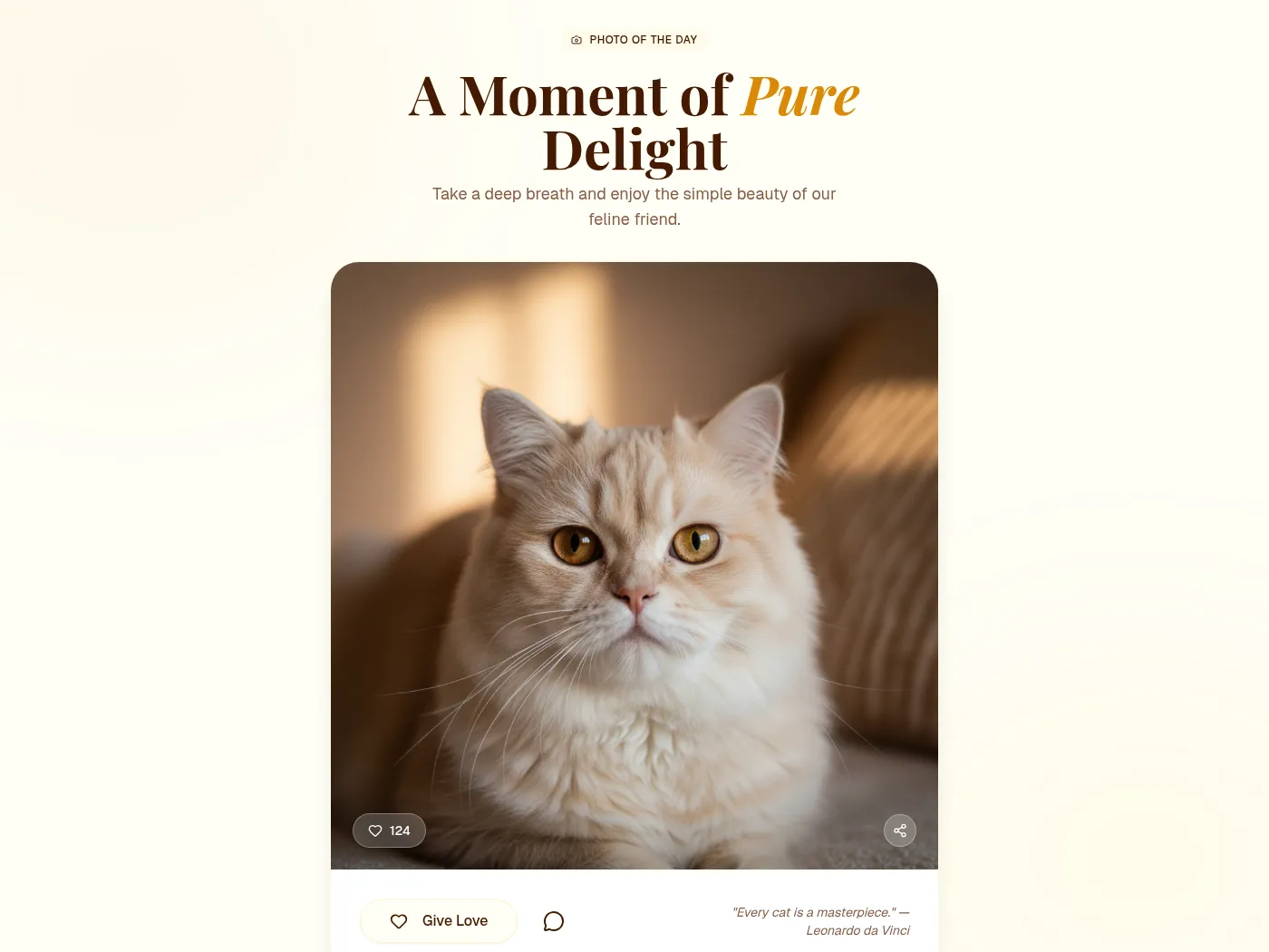 Cat Photo Site