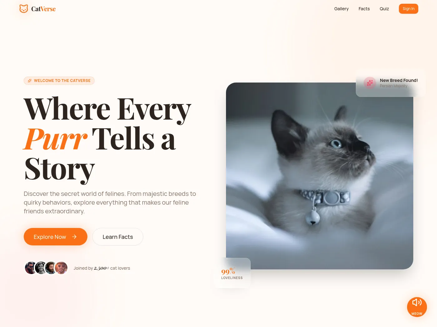 CatVerse Interactive