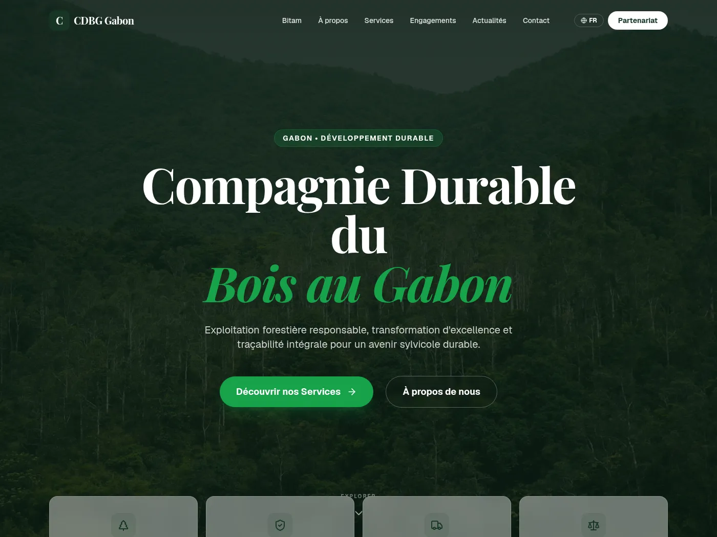 CDBG Gabon NextGen