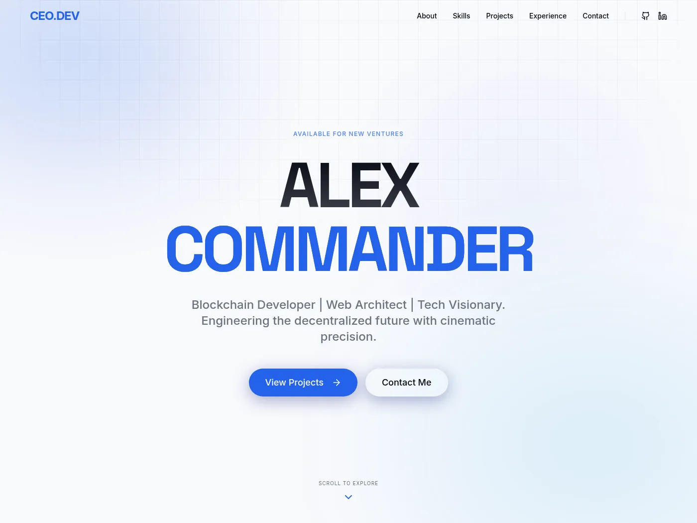 Tech CEO Portfolio