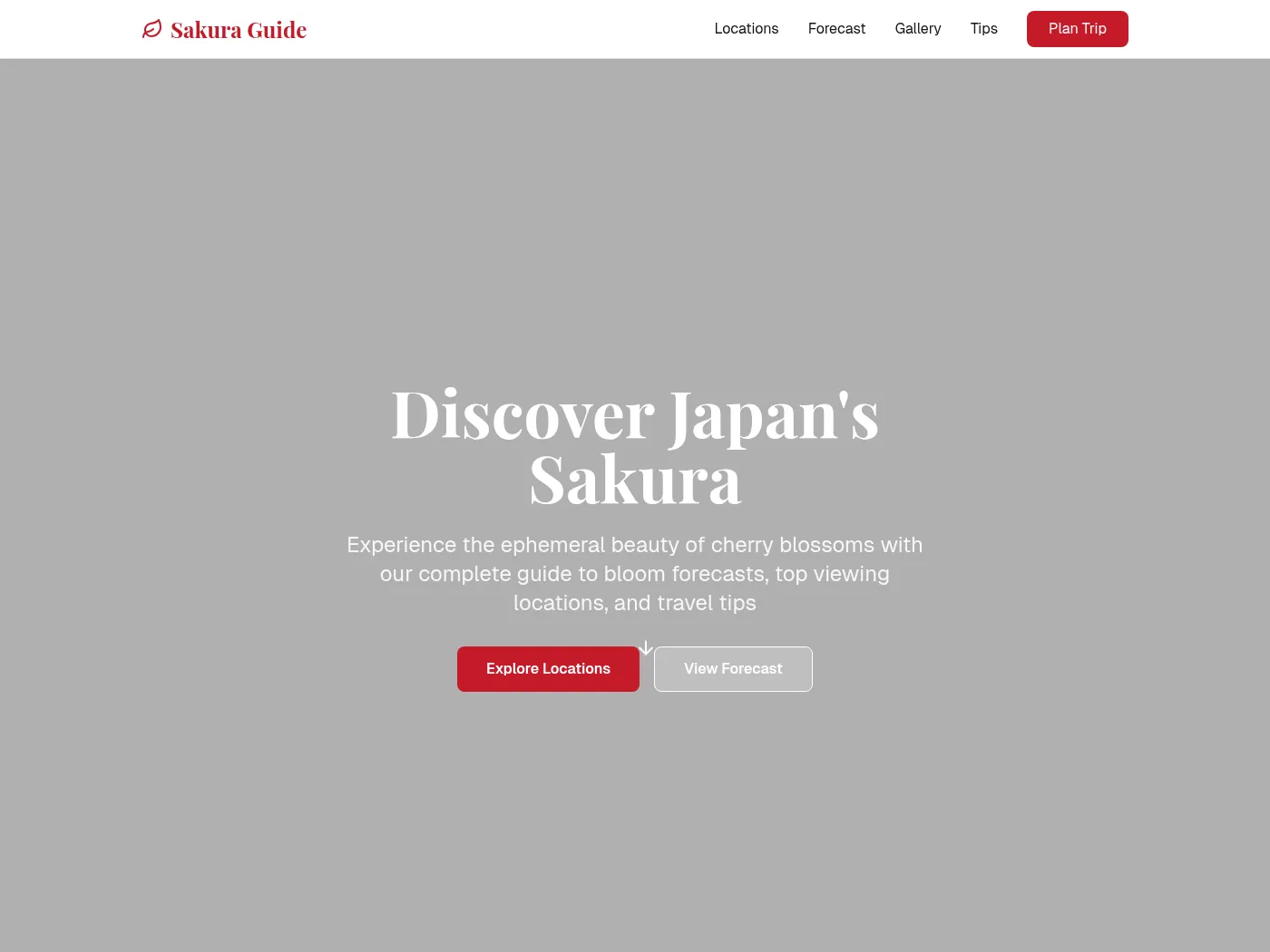 Cherry Blossom Japan Guide