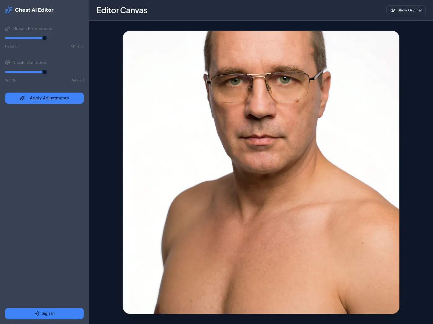 AI Chest Model Editor