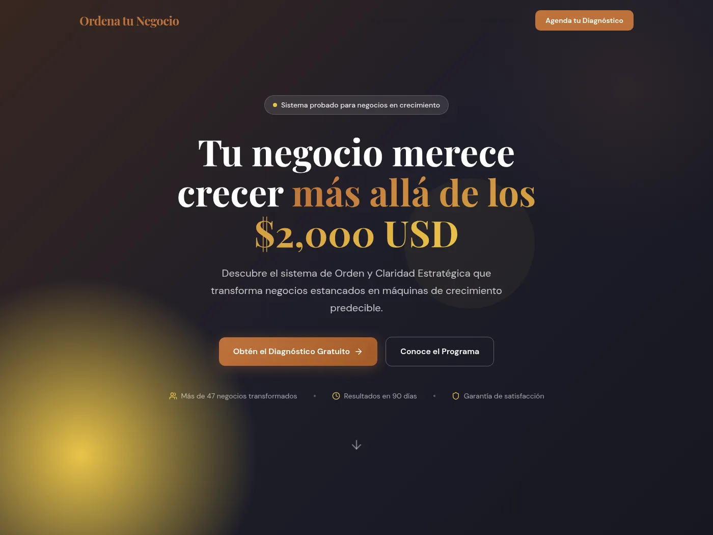 Ordena tu Negocio