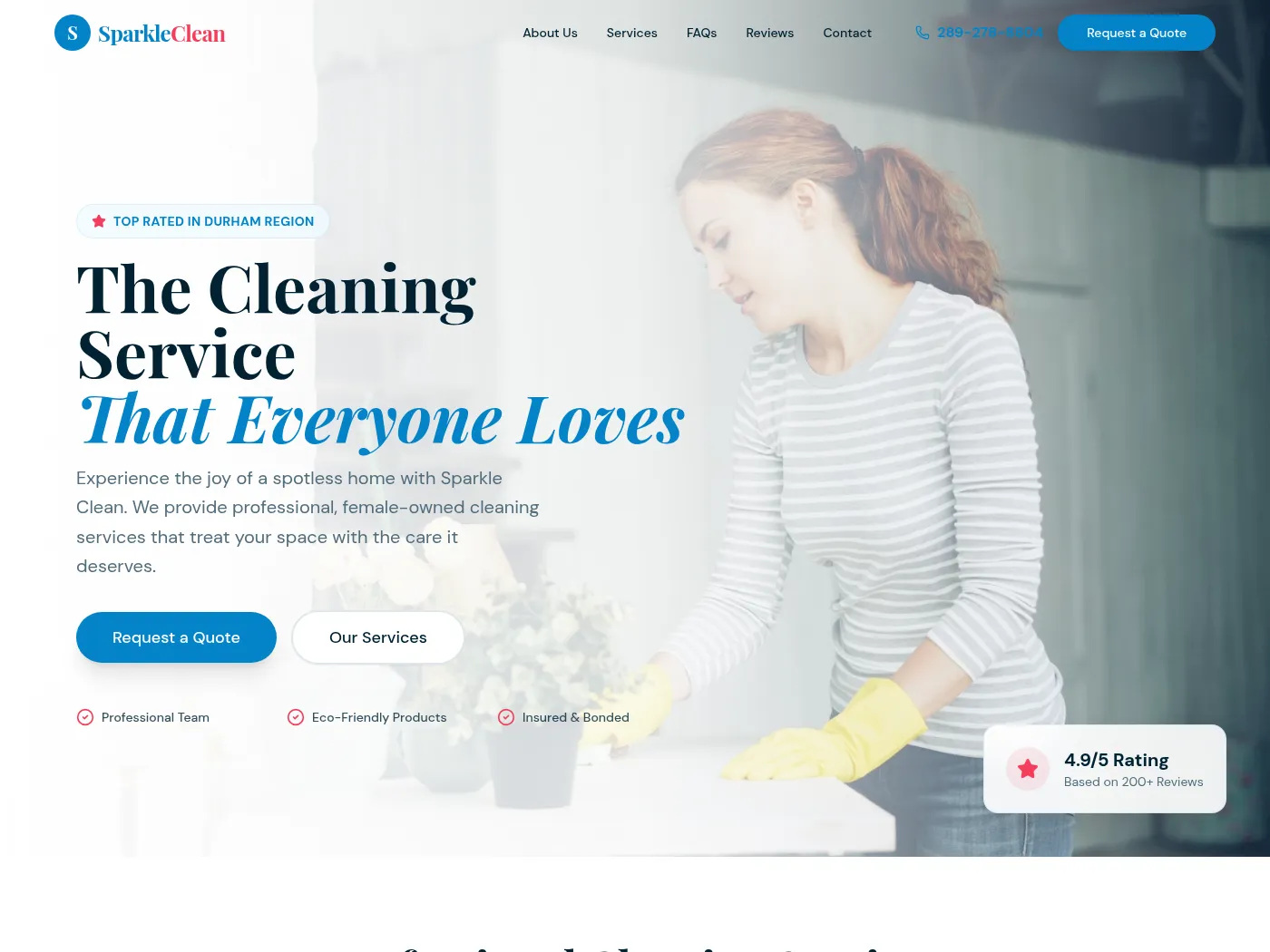 Sparkle Clean Site