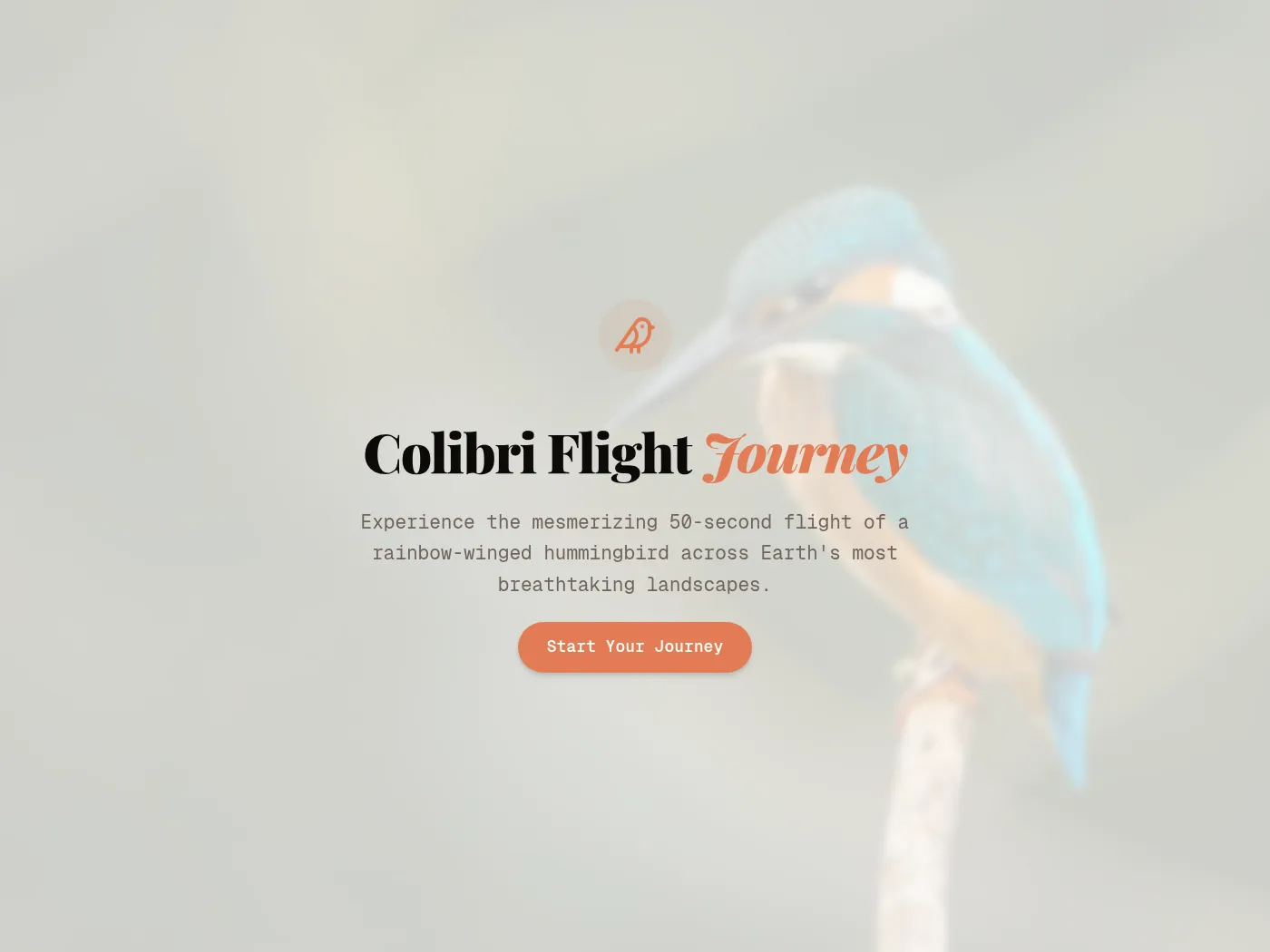 Colibri Flight Video