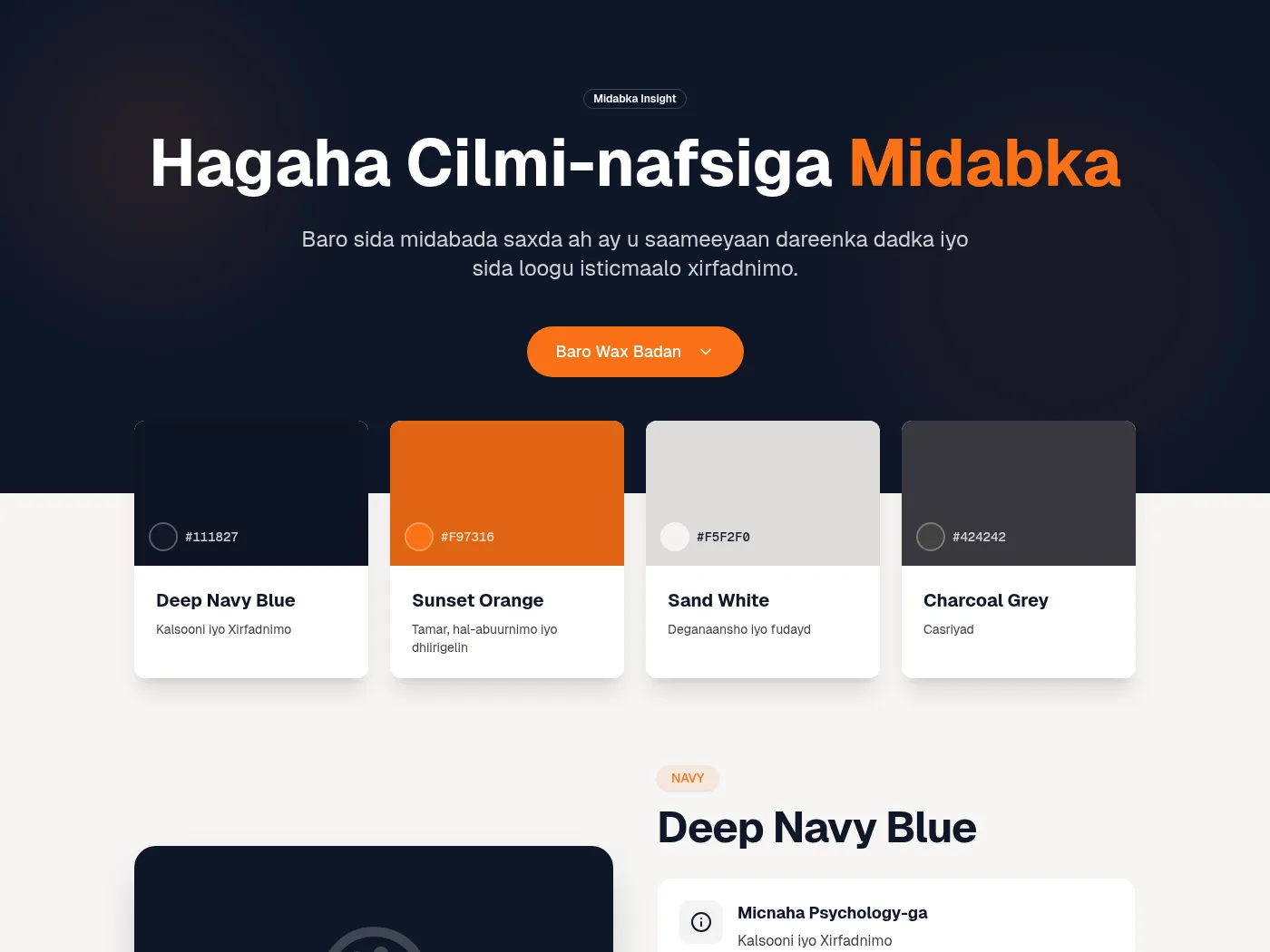 Midabka Insight