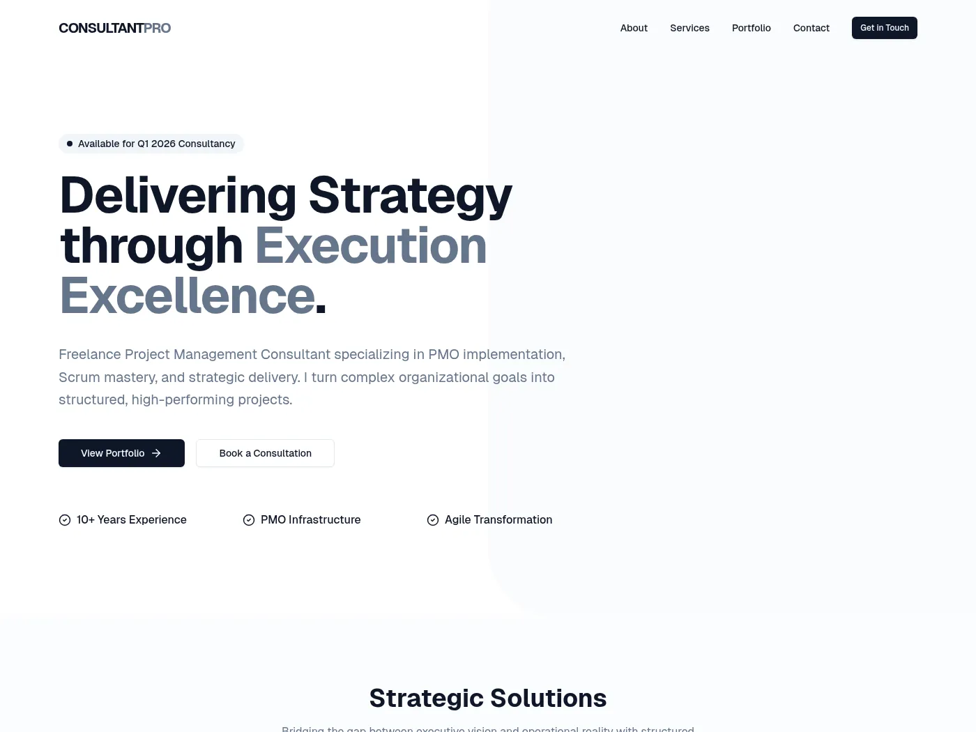Project management consultant