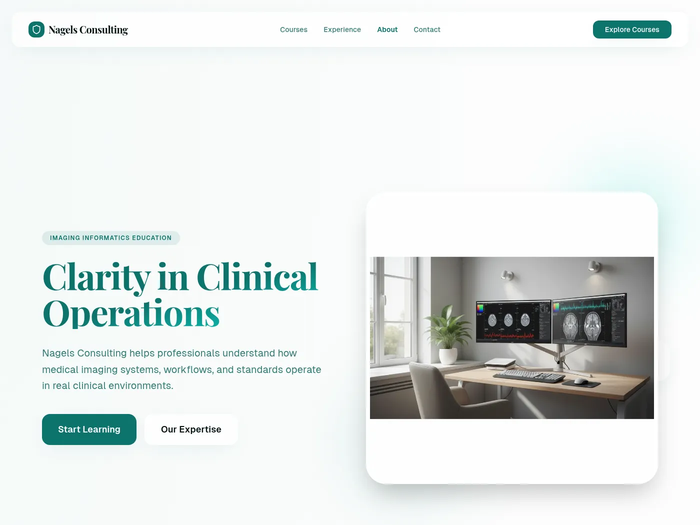 Nagels Consulting About Page