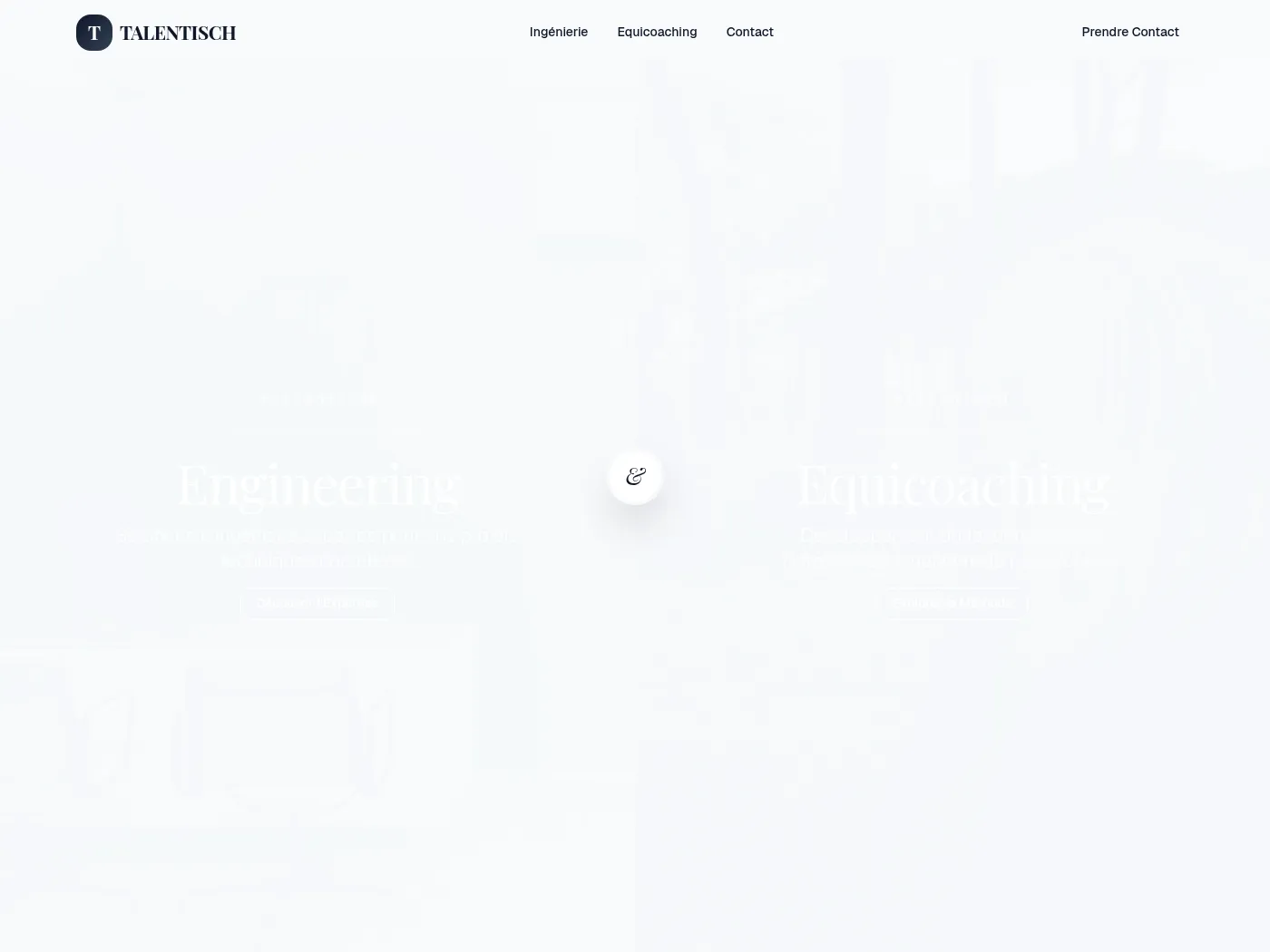 Consulting & Equicoaching Web