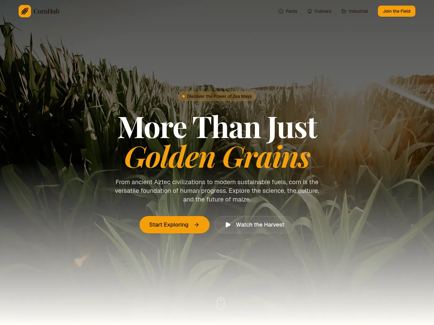 Corn Info Hub