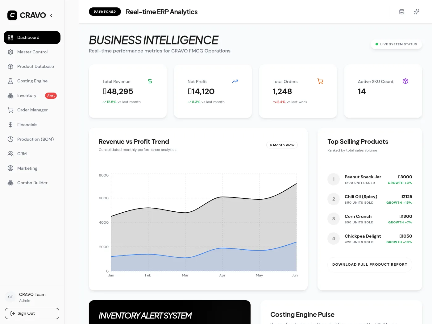 CRAVO SaaS-Style Excel ERP