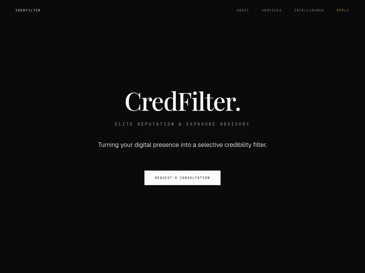 CredFilter Consulting Site