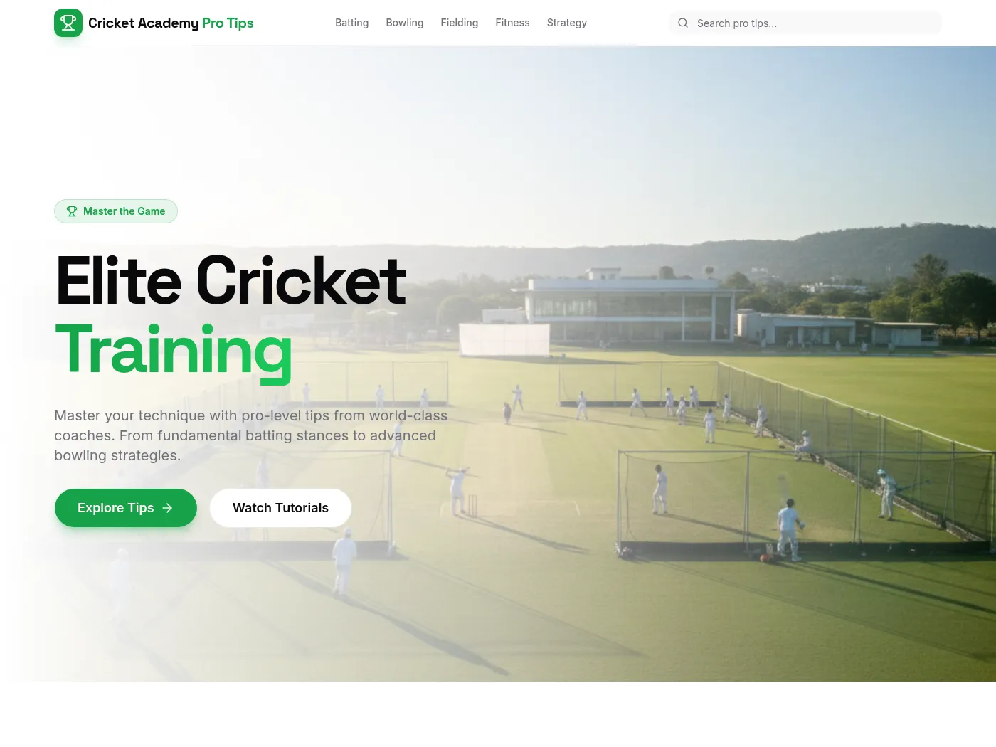 Cricket Academy Tips
