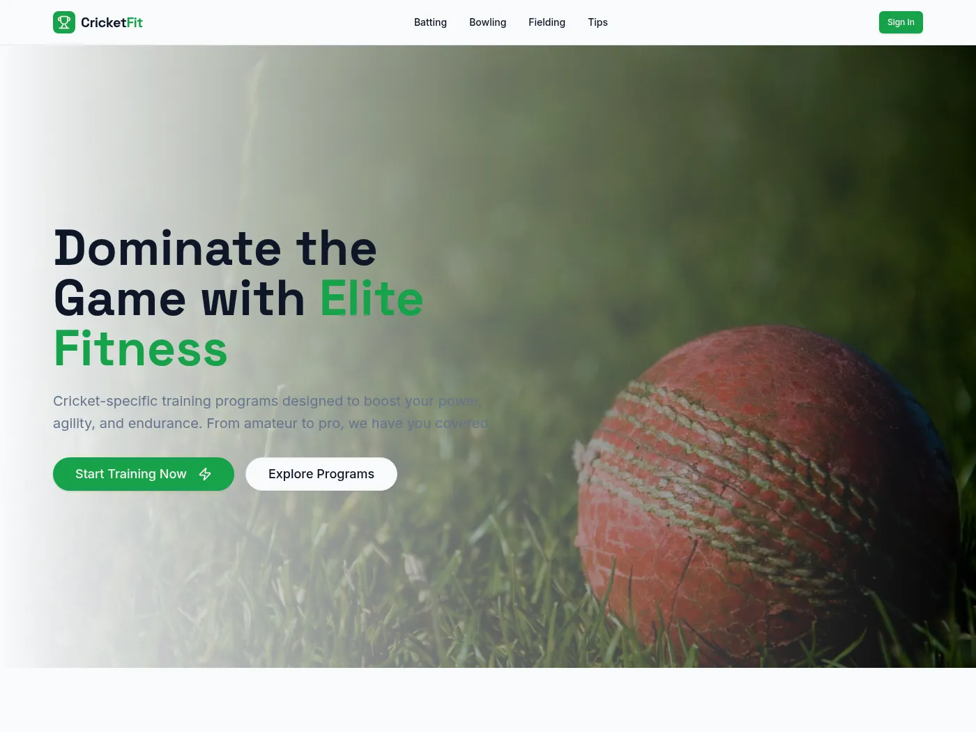 CricketFit Insights