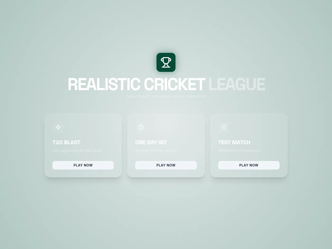Realistic Cricket Simulator