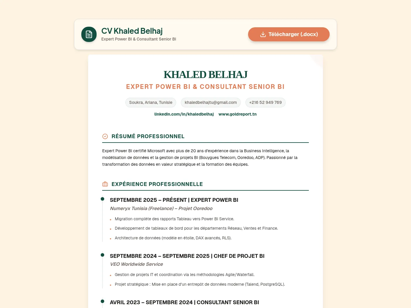 CV Perfection Assistant