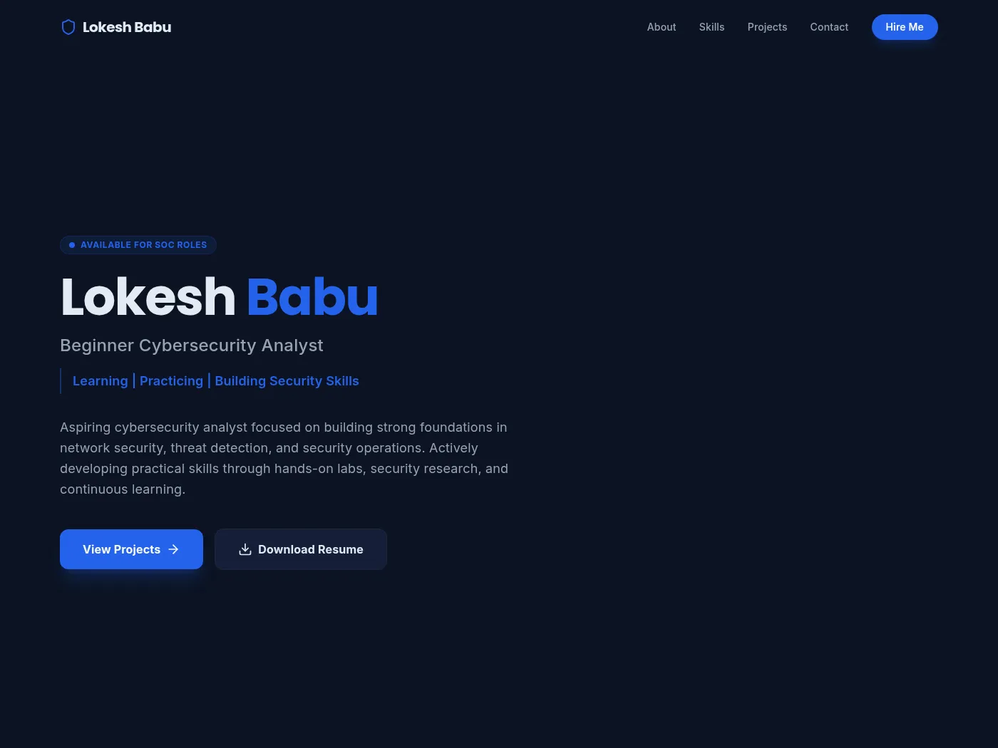 Lokesh Babu Portfolio