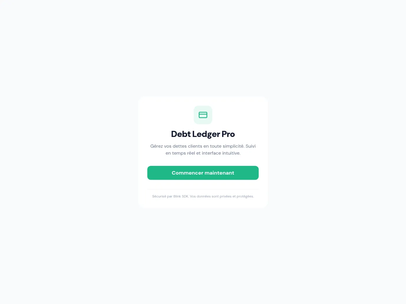 Debt Ledger Pro