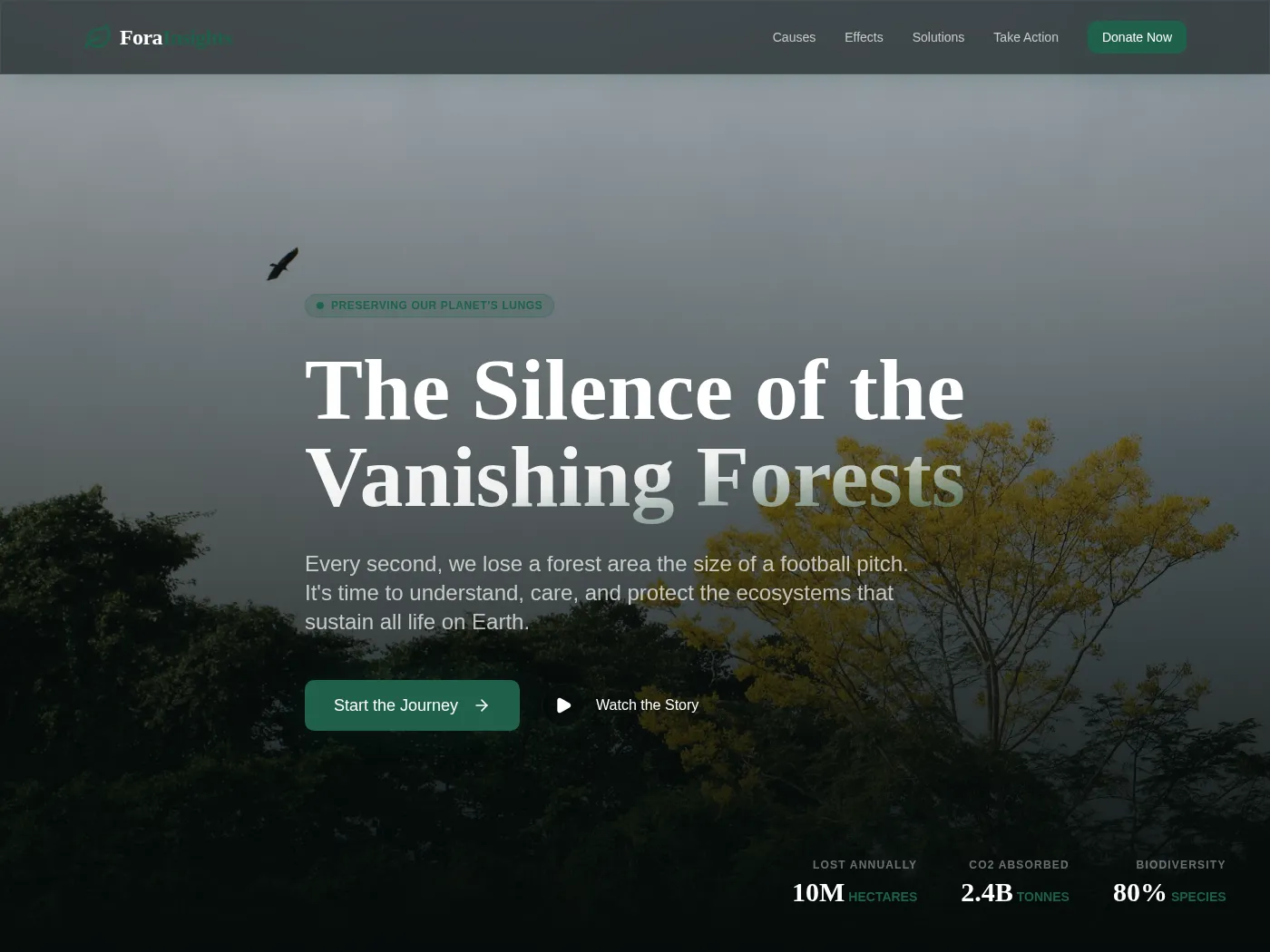 Deforestation Insights