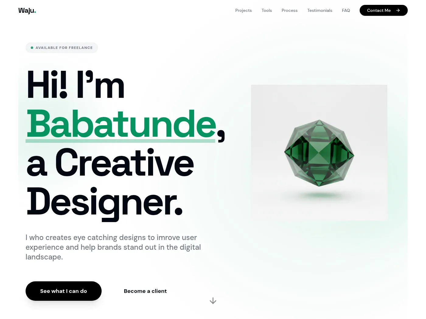 Designer Portfolio Pro