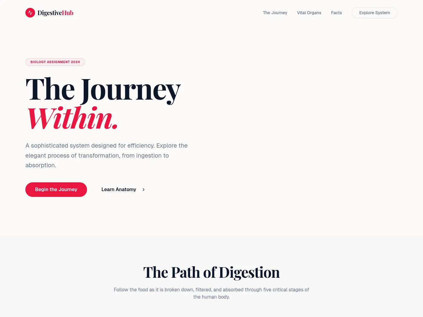 Digestive System Hub