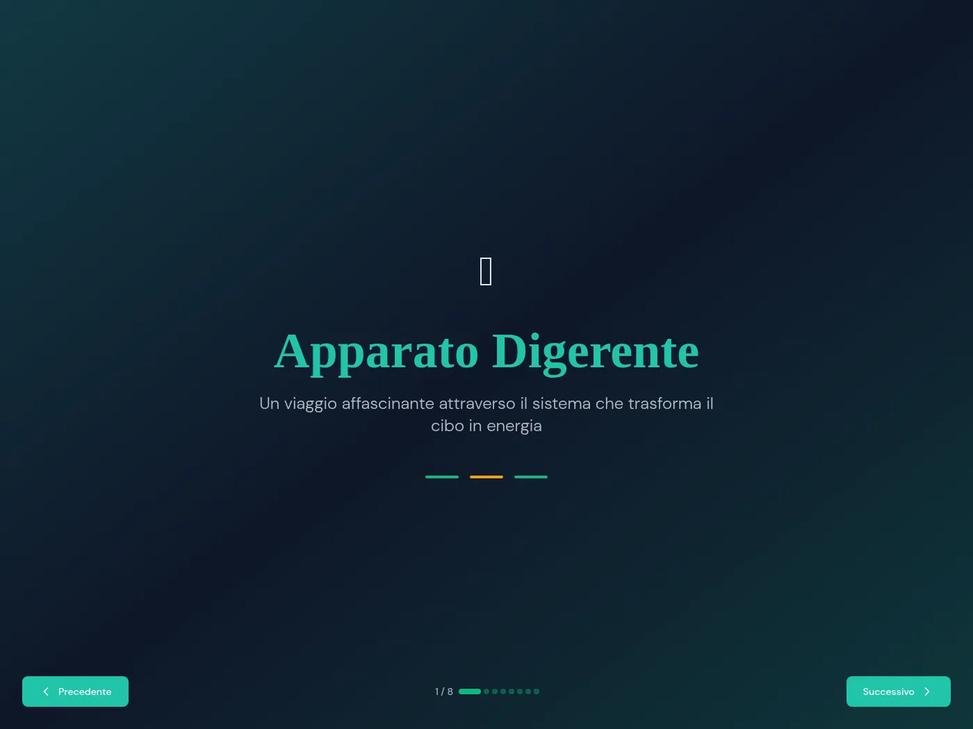 Digestive System Slide Deck