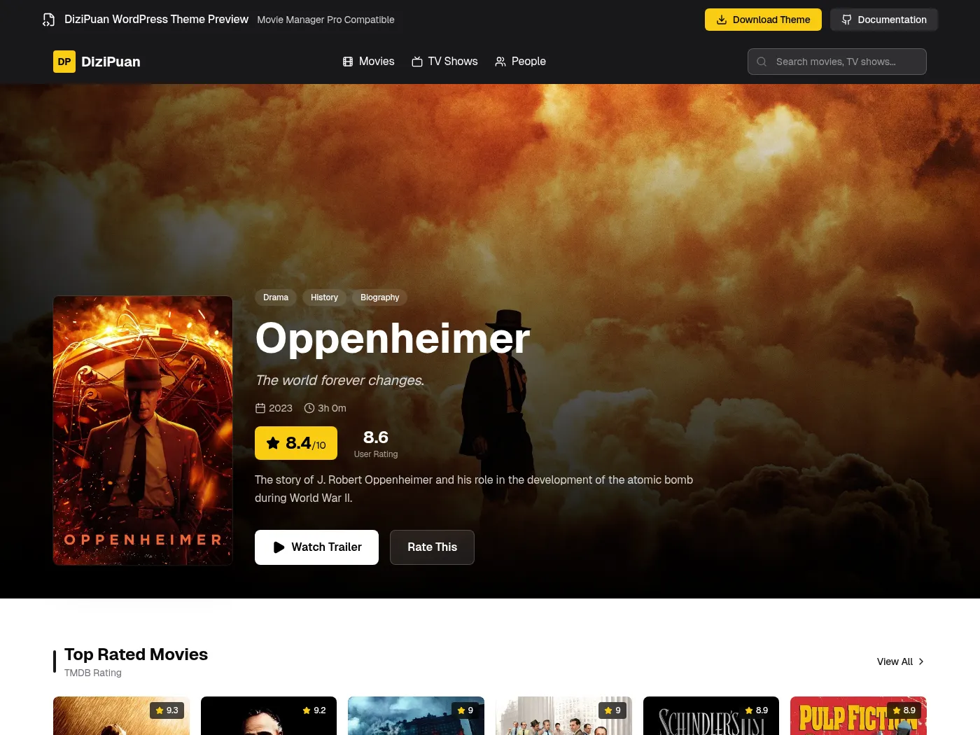 DiziPuan WP Theme