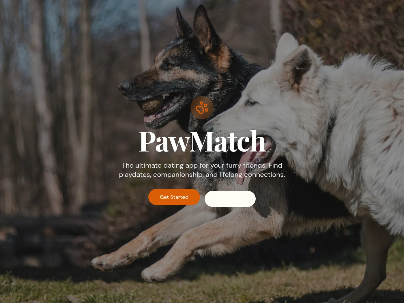 PawMatch Dating App