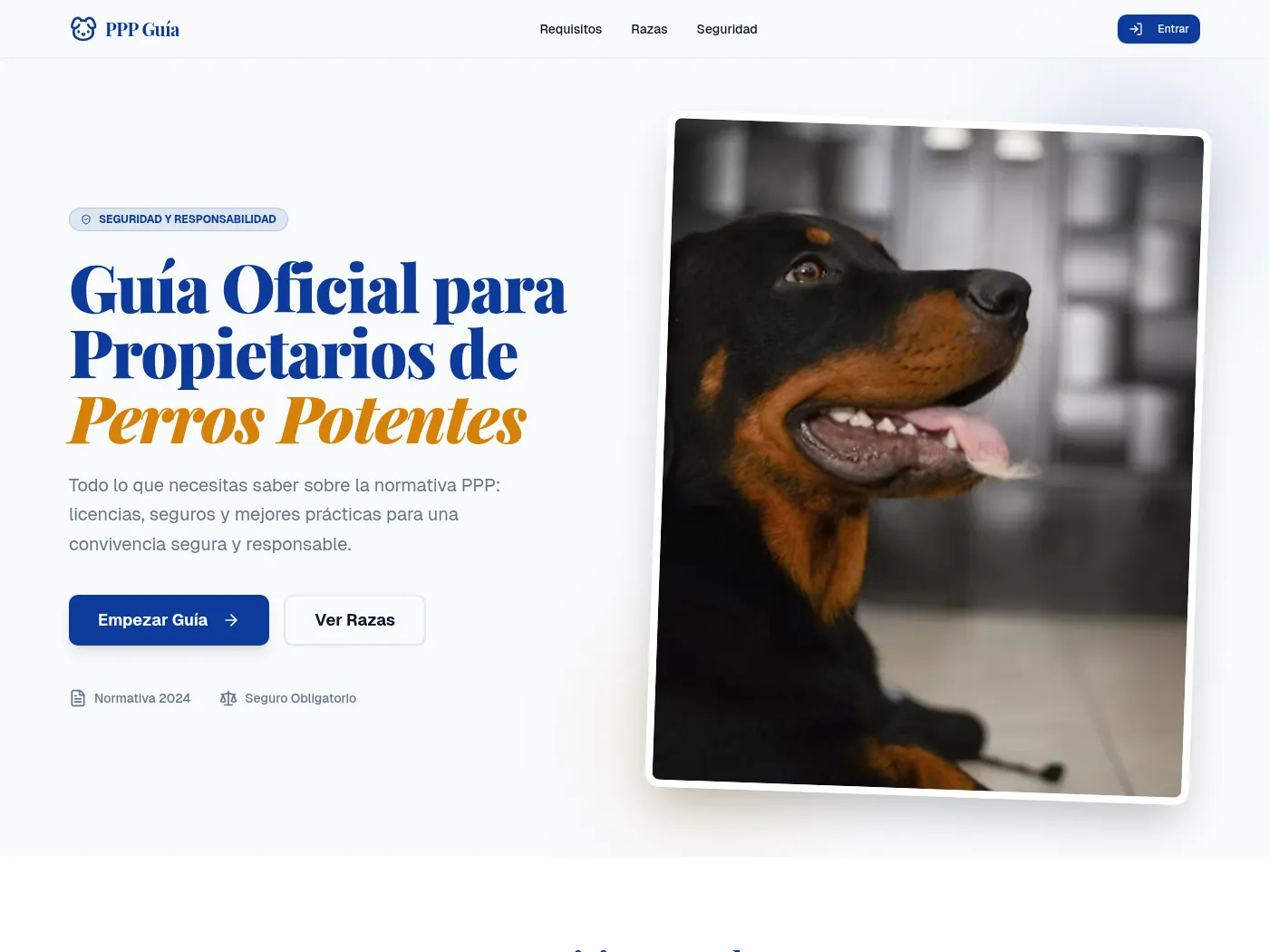 Dog Owner Safety Guide