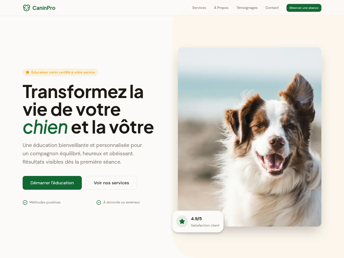 Dog Trainer Pro Site