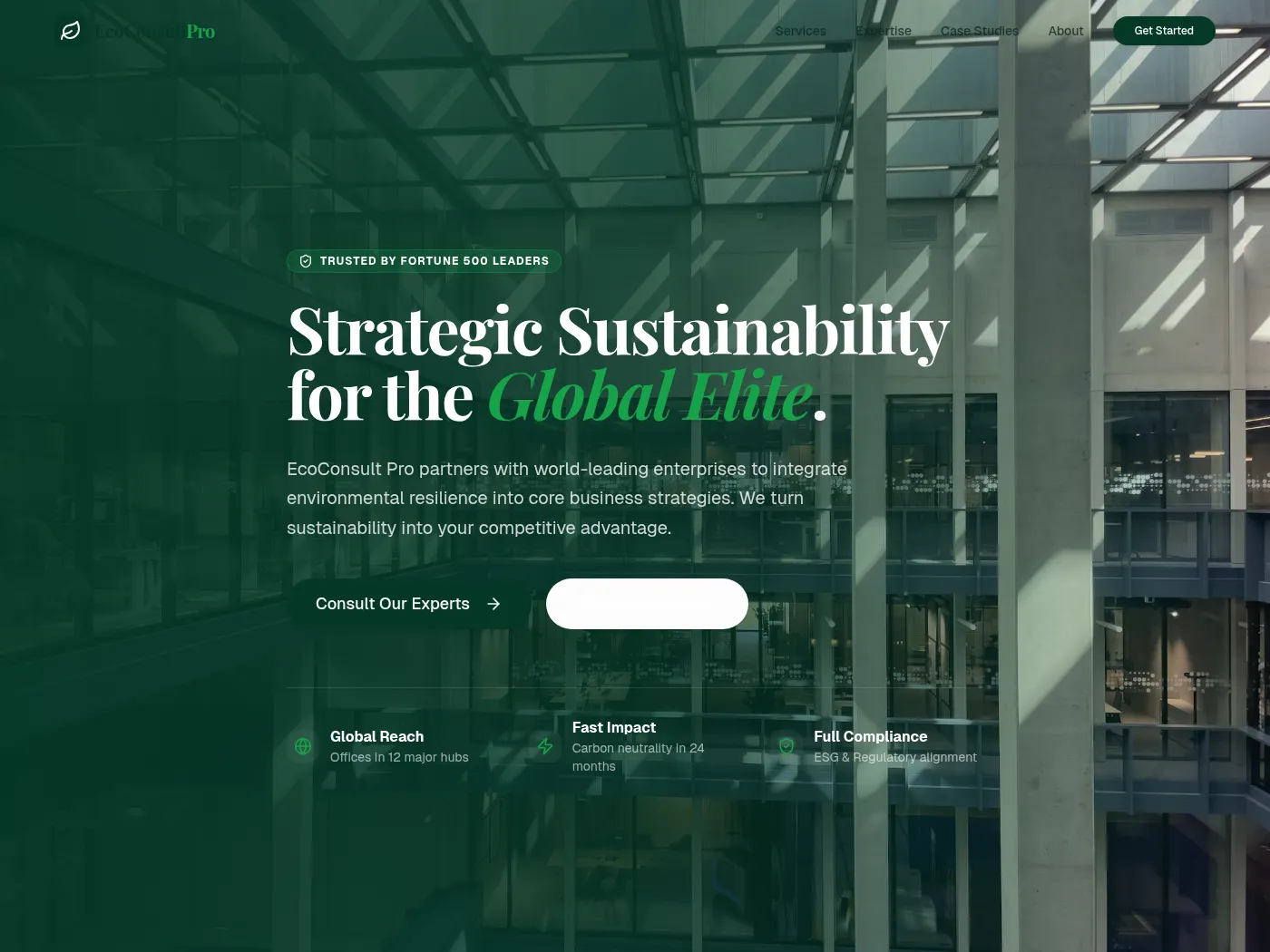 Rainier Environmental