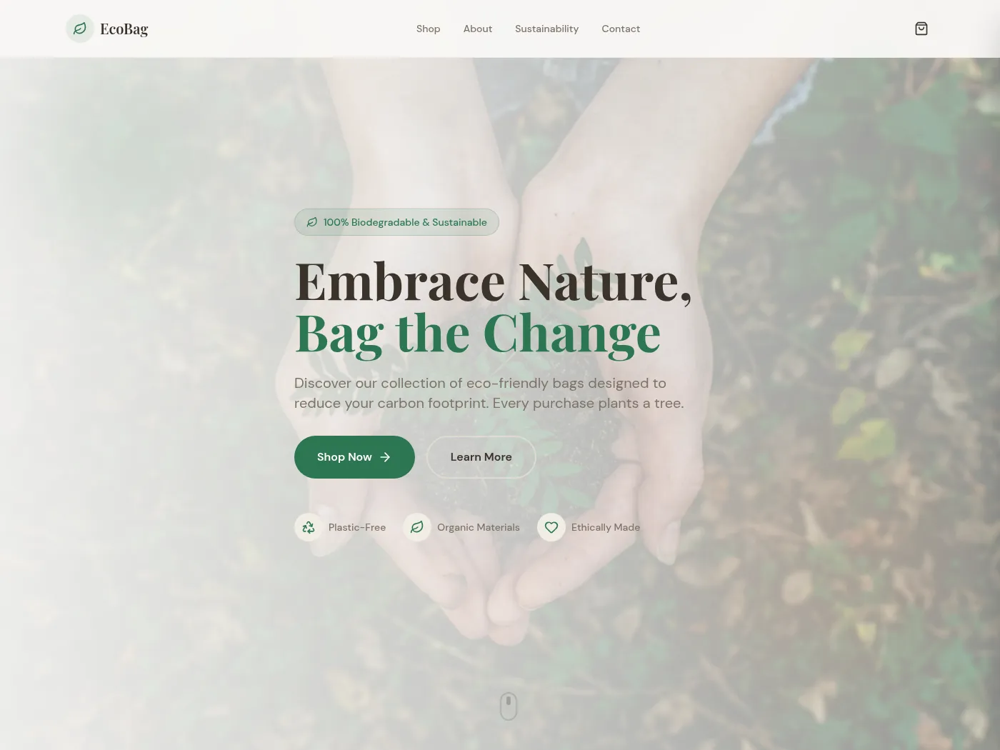 EcoBag E-Commerce Site