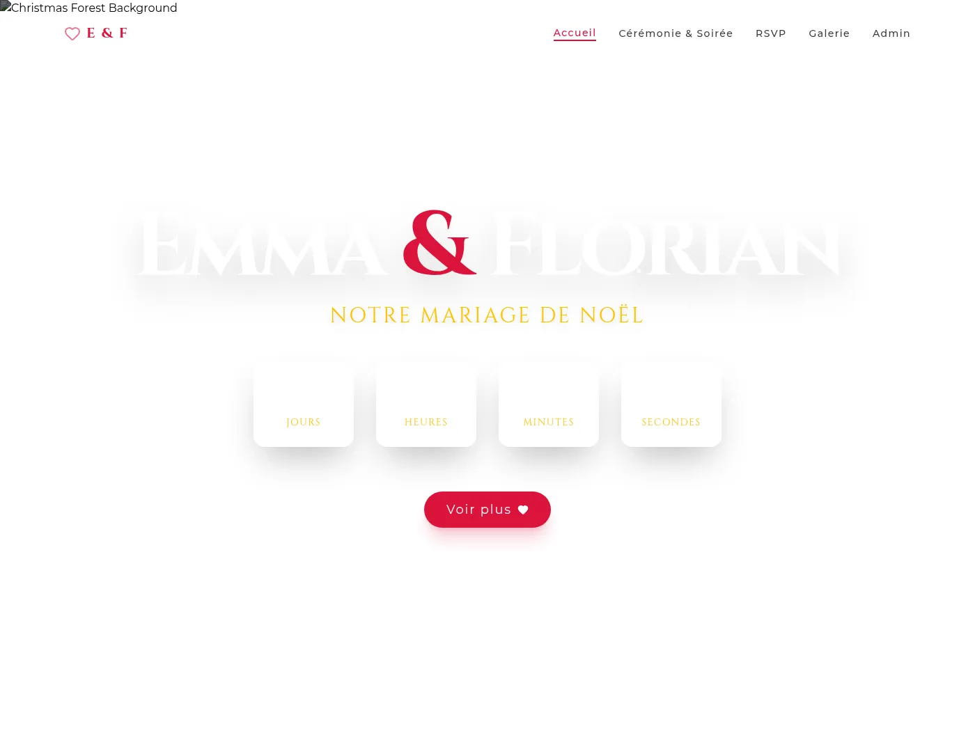 Emma & Florian Christmas Wedding
