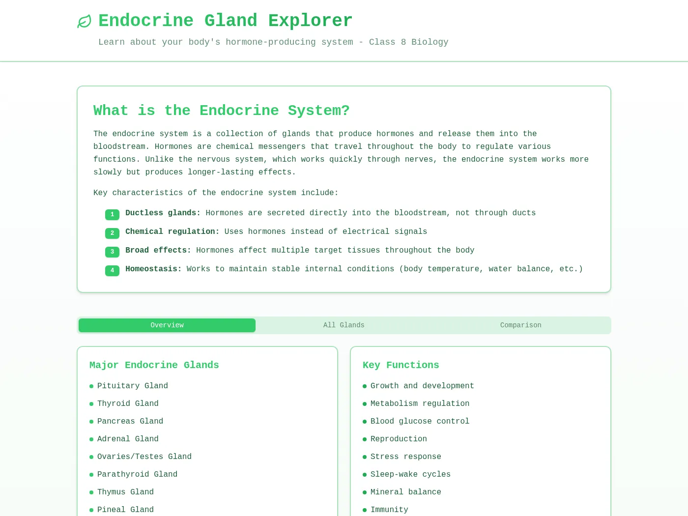 Endocrine Gland Explorer
