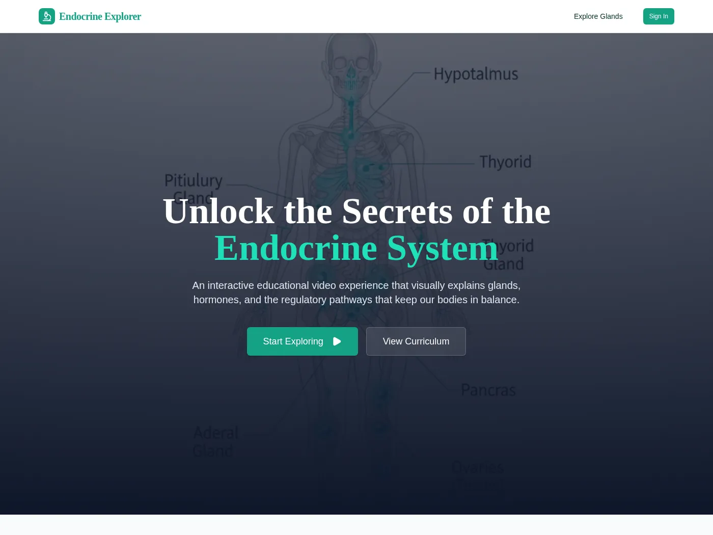 Endocrine Explorer