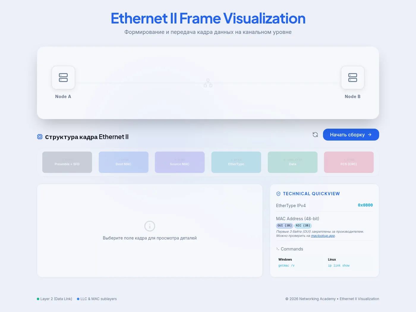 Ethernet Frame Viz