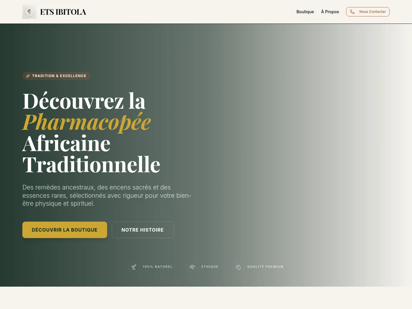 ETS IBITOLA Web Shop