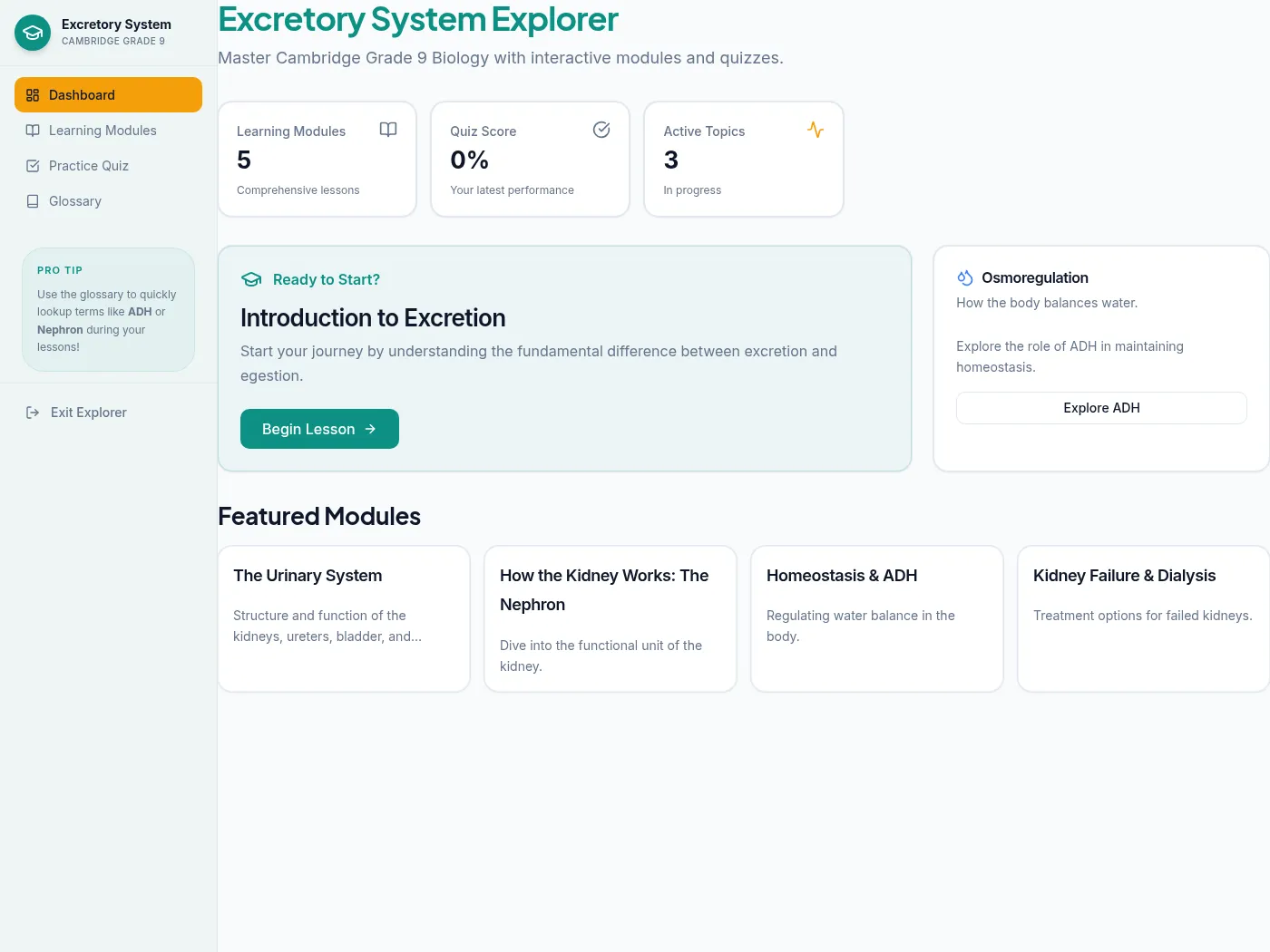 Excretory System Explorer