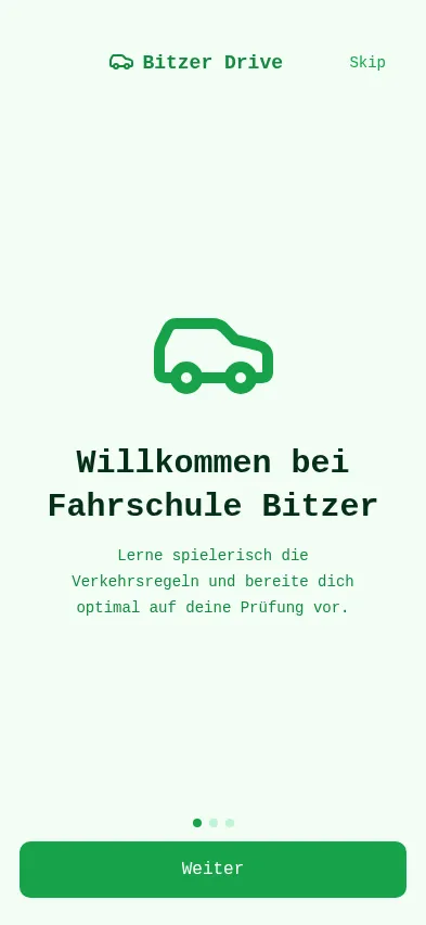 Fahrschule Bitzer Spiel