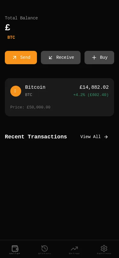 Fake Bitcoin Ledger