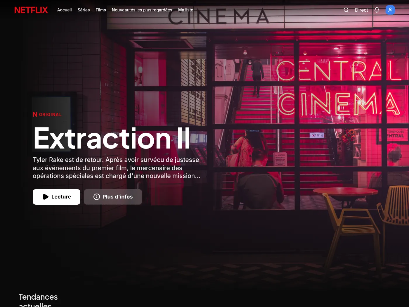 Faux Netflix Experience
