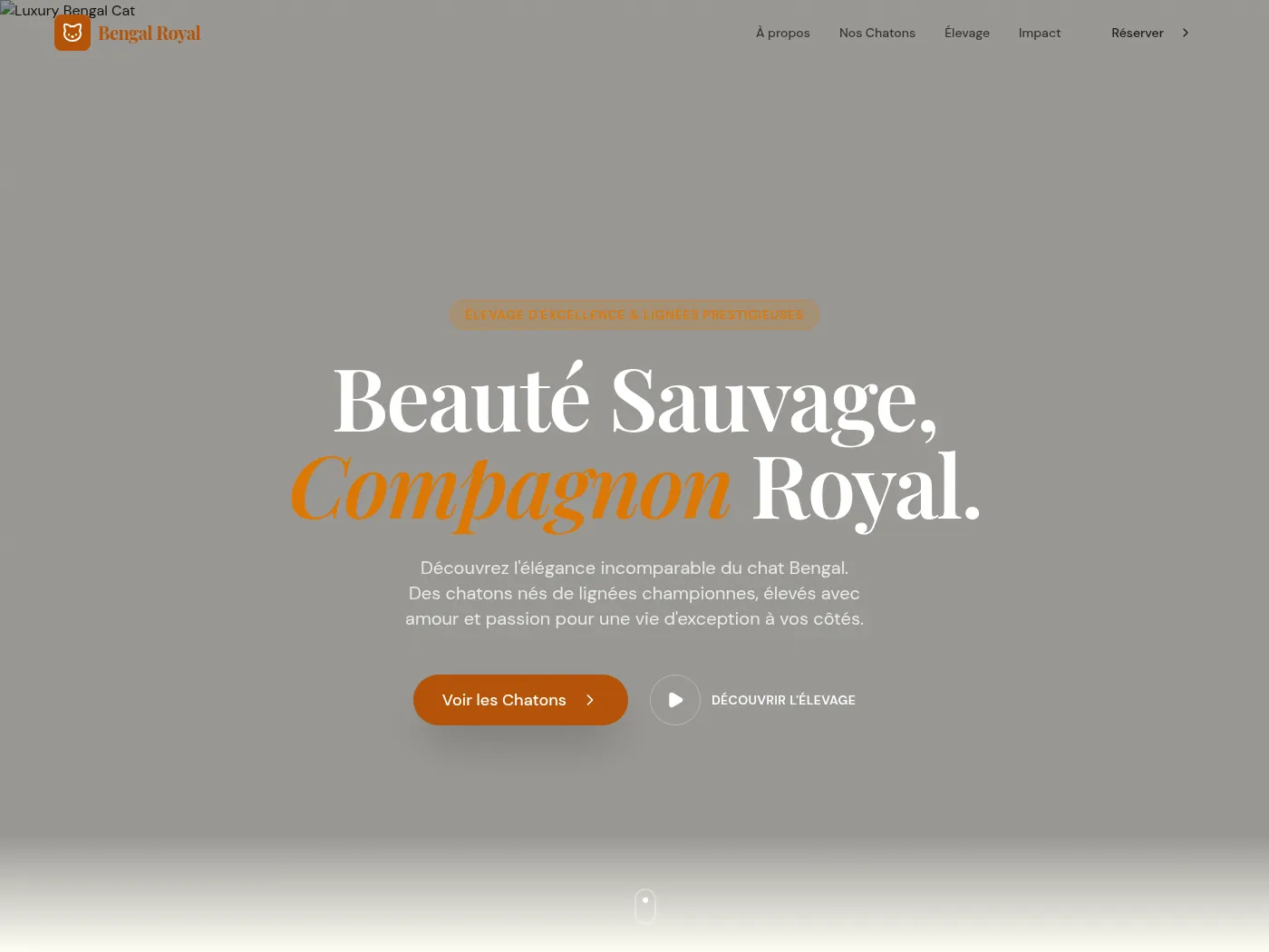 FarmRoot Landing Page (Remix)