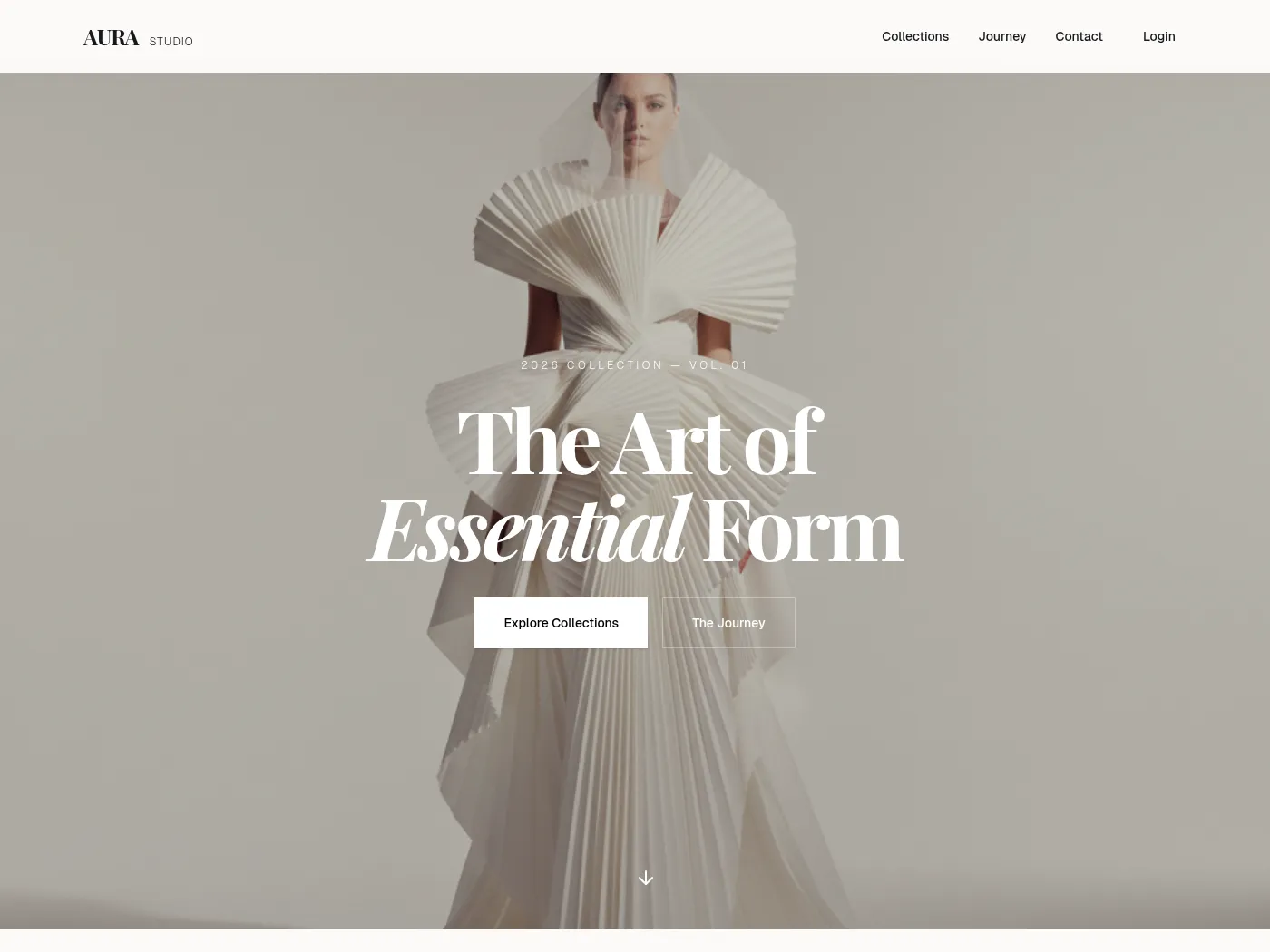 Fashion Designer Portfolio