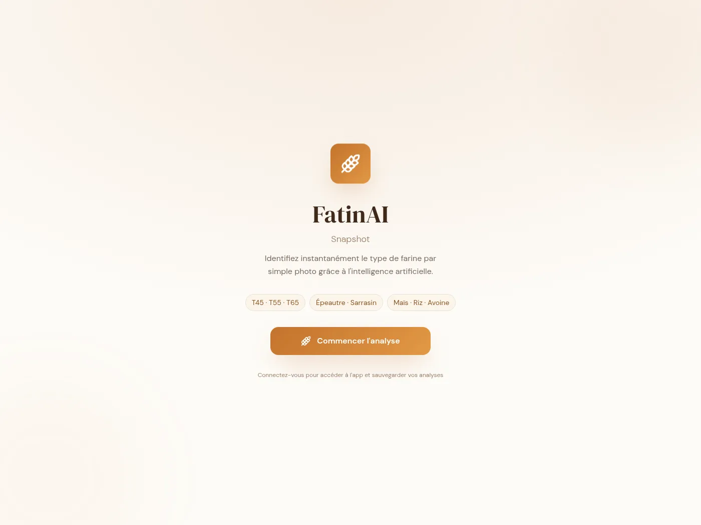 FatinAI Snapshot