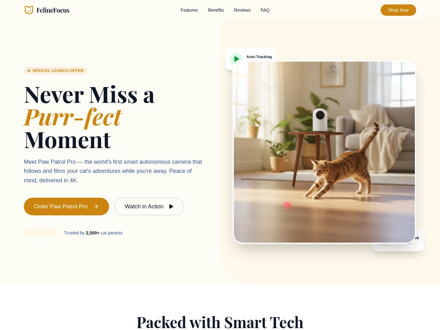 FelineFocus Shop